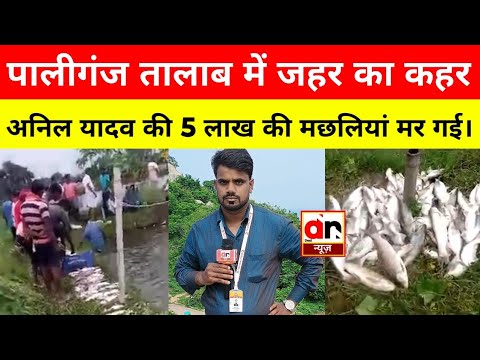 Patna Paliganj : अनिल यादव के तालाब में ज/हर डालने से लगभग 5 लाख ₹ की ...