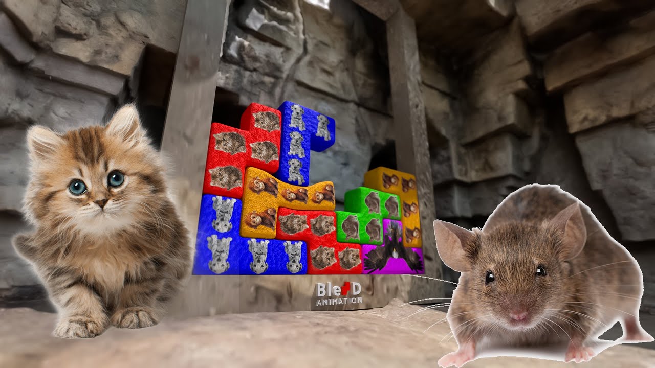 TETRIS CUTE ANIMAL WITH SOUND | SOFTBODY TETRIS | SATISFYING - YouTube