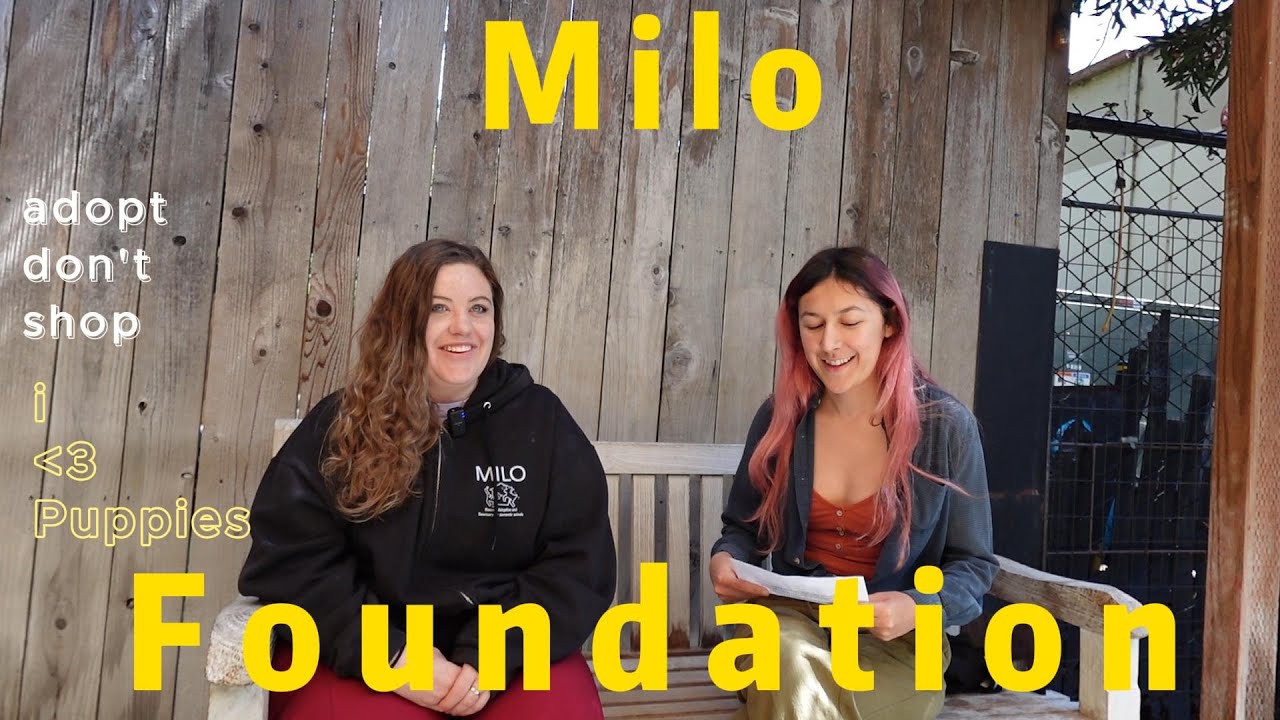 Milo foundation - YouTube