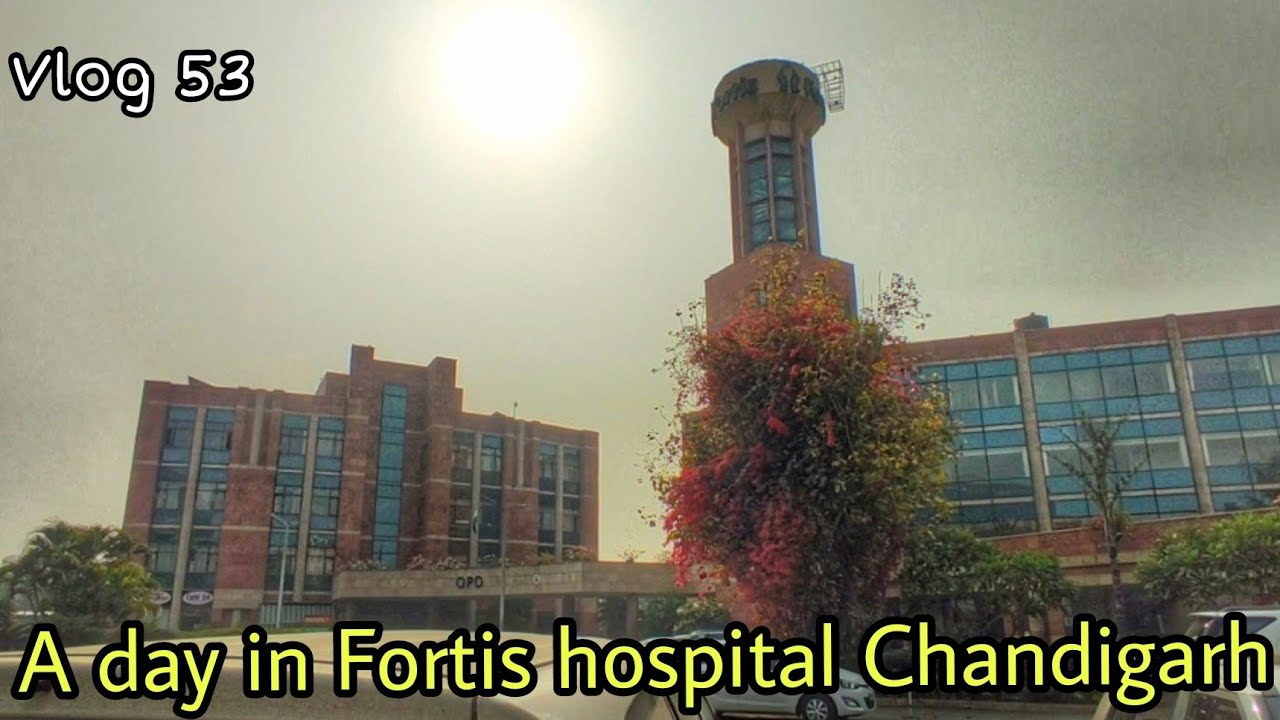 A day in Fortis Hospital Mohali Chandigarh // #chandigarh // why iam ...