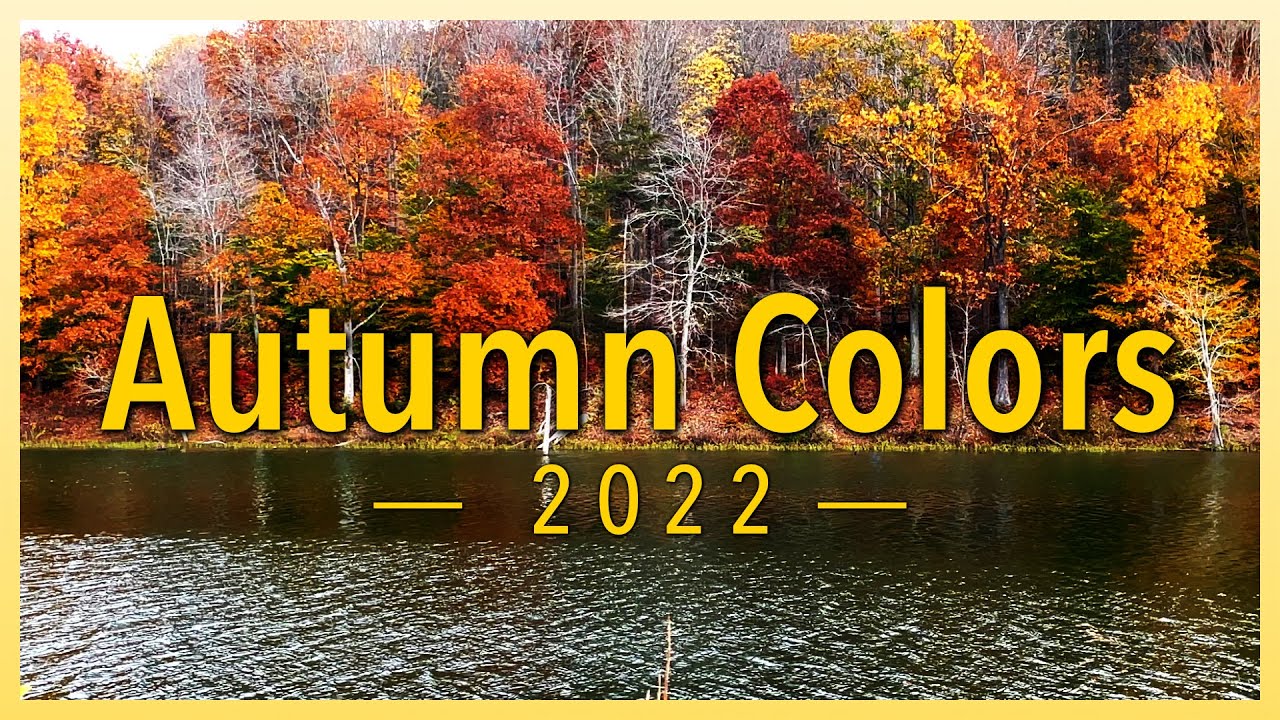 4K HDR Nature: Autumn Colors (2022) | Black Hill Regional Park - YouTube