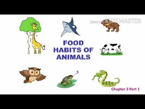 Science for class 3, chapter 3, part 1 (Food Habits of Animals) - YouTube