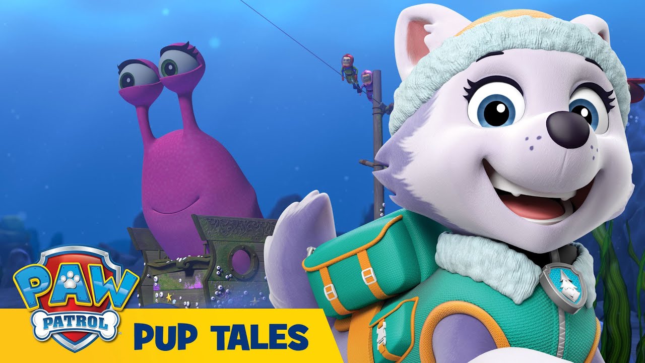 🐶 Sea Patrol: Pups Save the Sunken Sloop | PAW Patrol | Cartoons for ...