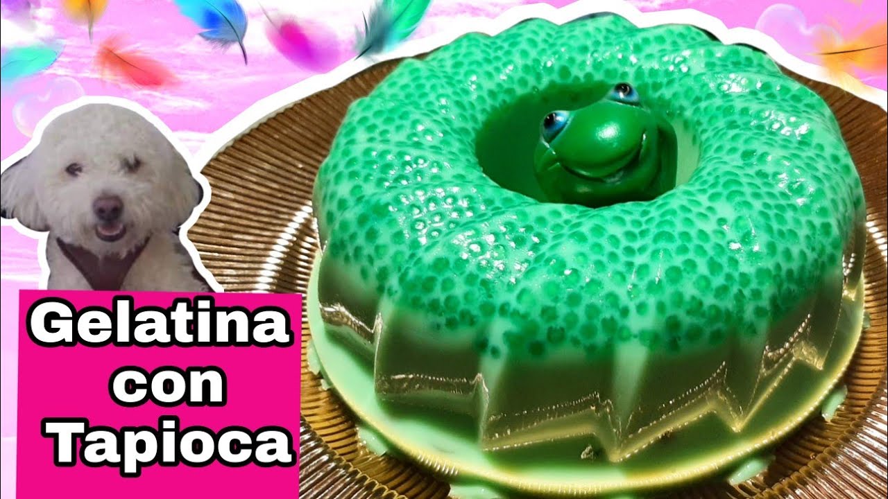 🔴GELATINA TAPIOCA || Postre de Tapioca con Gelatina DGari || Tapioca ...
