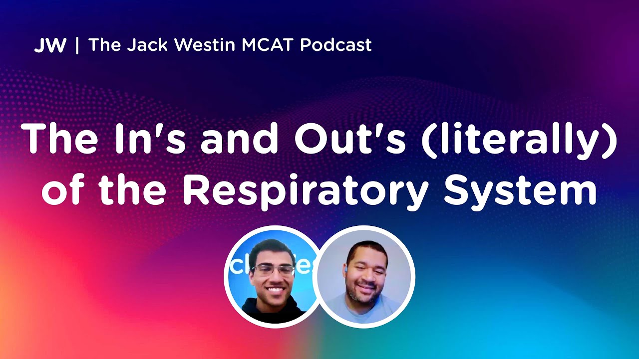 The In's and Out's (literally) of the Respiratory System I Jack Westin ...