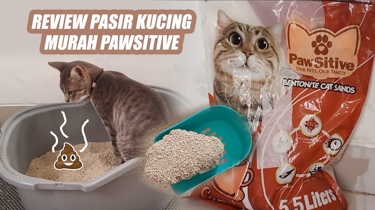Review Pasir Kucing Pawsitive - Pasir Gumpal - Pasir Bentonite Murah ...