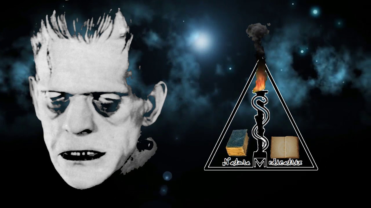 FRANKENSTEIN (Análisis de la obra) - YouTube