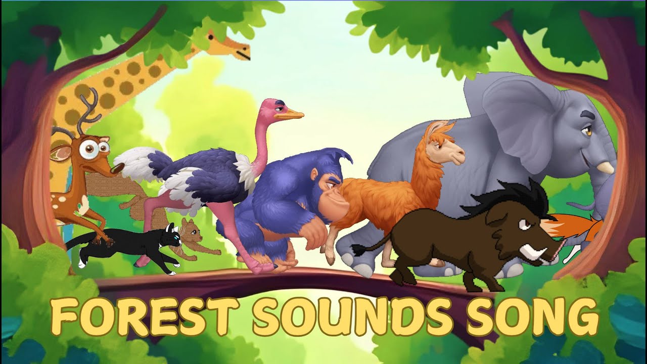 Animal Sounds Song 🎶 Forest Sounds Song 🌲Who’s Making That Noise? 🎶 ...