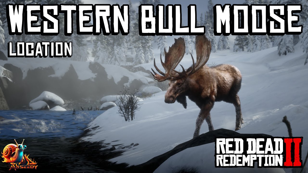 Western Bull Moose Location - Red Dead Redemption 2 - YouTube