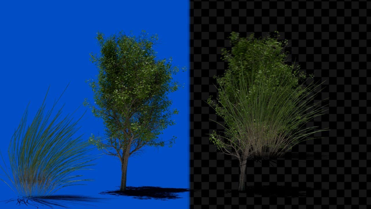 Plants Green Screen Animated | Tree Green Screen Footage - YouTube