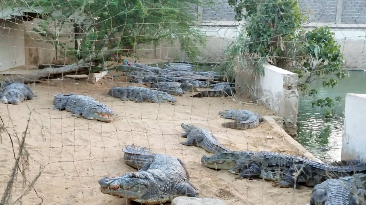 Trip To Manghopir | Karachi - YouTube