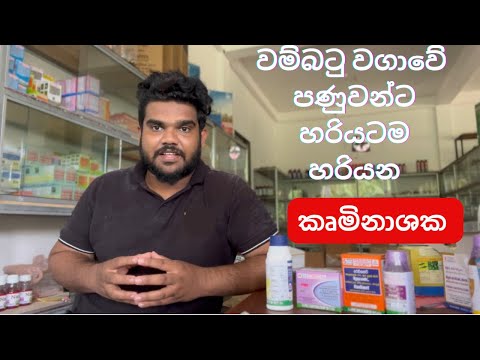 වම්බටු වගාවේ පණුවන්ට එරෙහිව භාවිතා කරන කෘමිනාශක