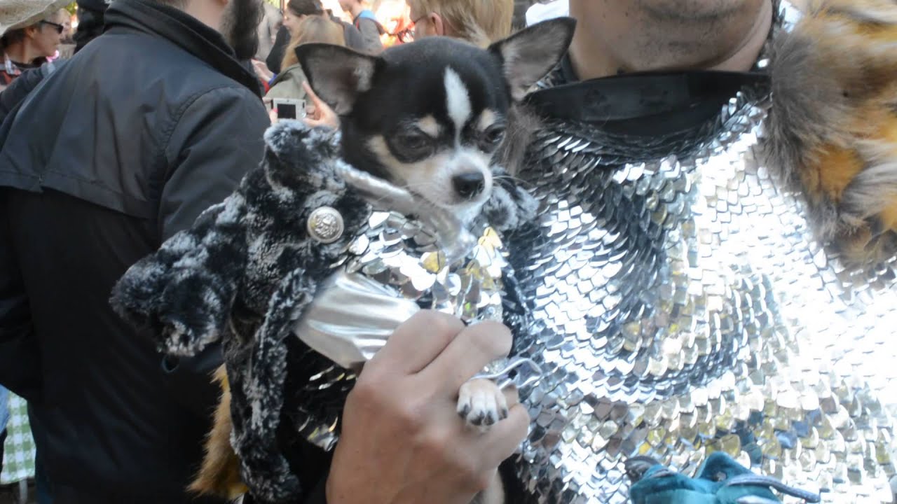 24th Annual Tompkins Square Park Halloween Dog Parade 2014 - YouTube