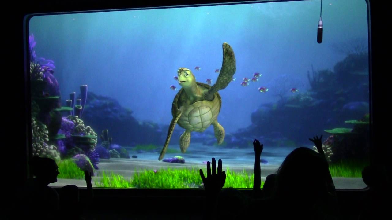 Get To Know Crush The Turtle From Finding Nemo In This Heartwarming ...