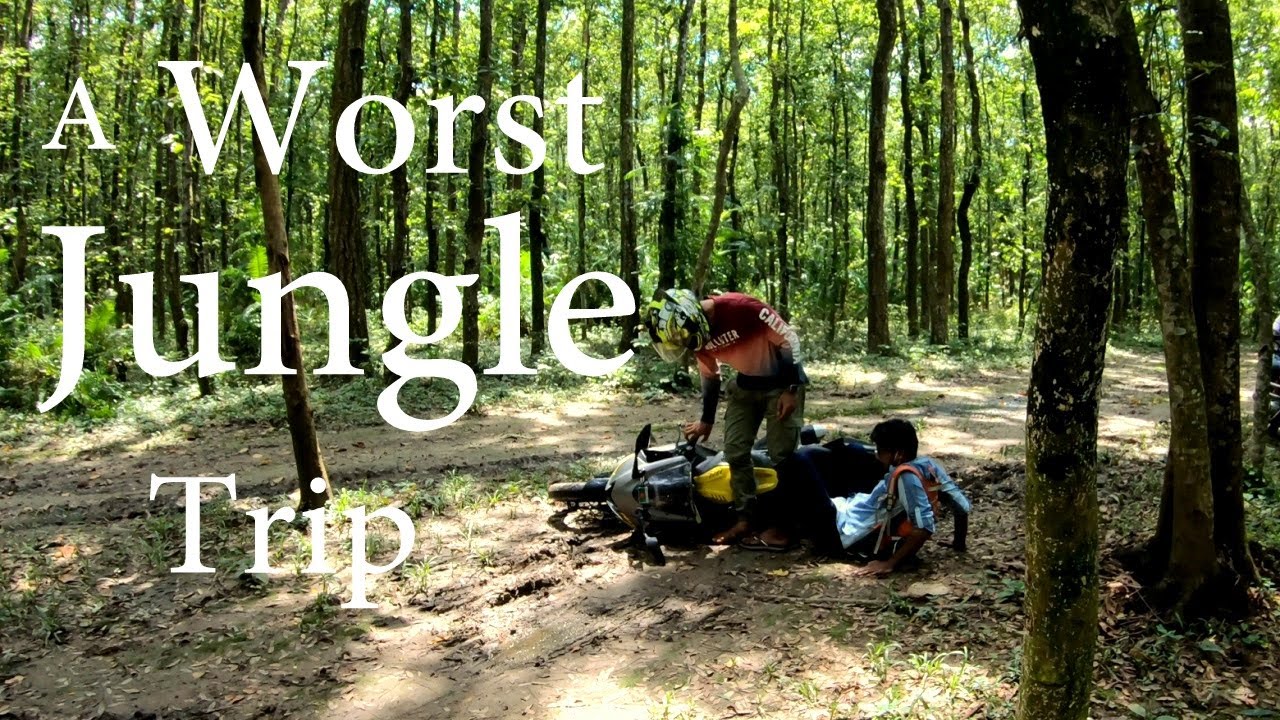 A Worst Jungle Trip | Singra Forest , Dinajpur | - YouTube