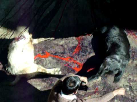 Hat Kalika Gangolihat by JeevanThakur - YouTube