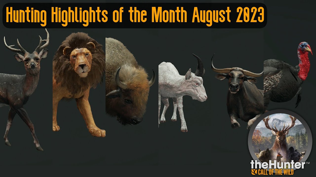 Hunting Highlights of the Month August 2023 theHunter Call of the Wild ...