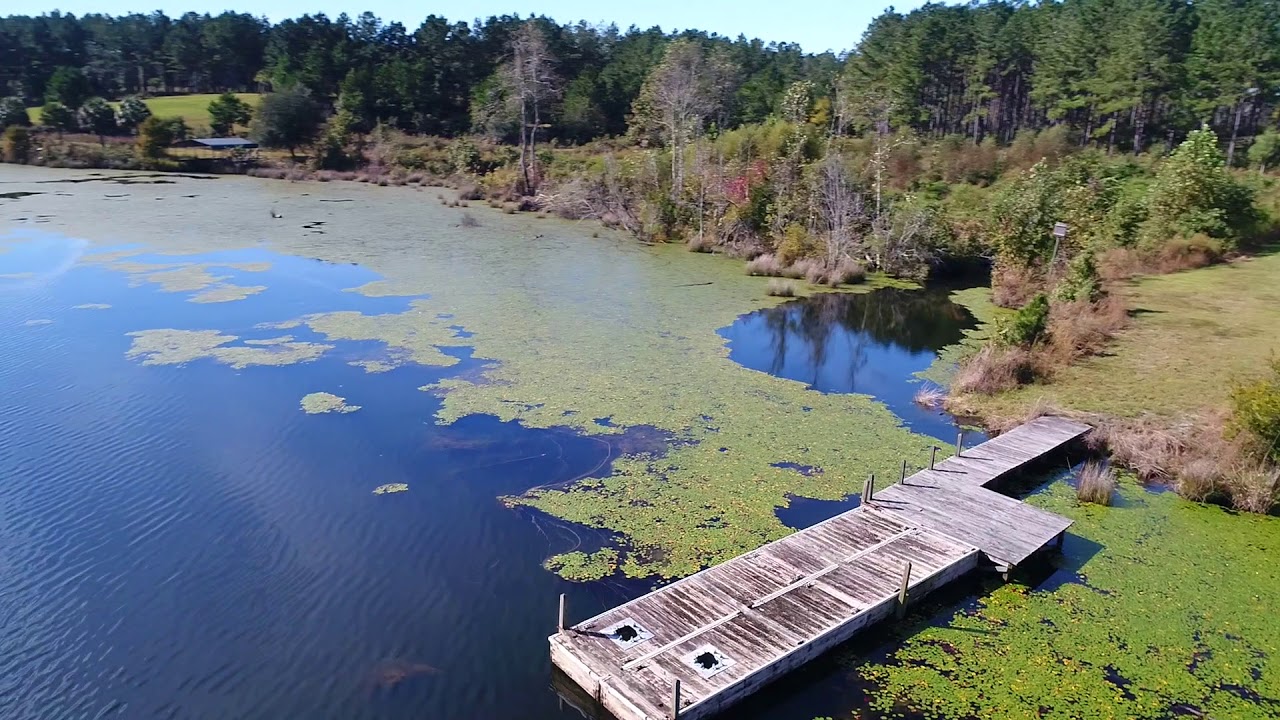 Cusabo Plantation - YouTube