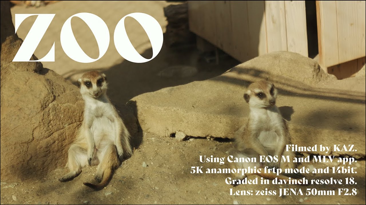 【003 ZOO】Canon EOS M Film | Magic Lantern RAW Video 14bit | zeiss jena ...