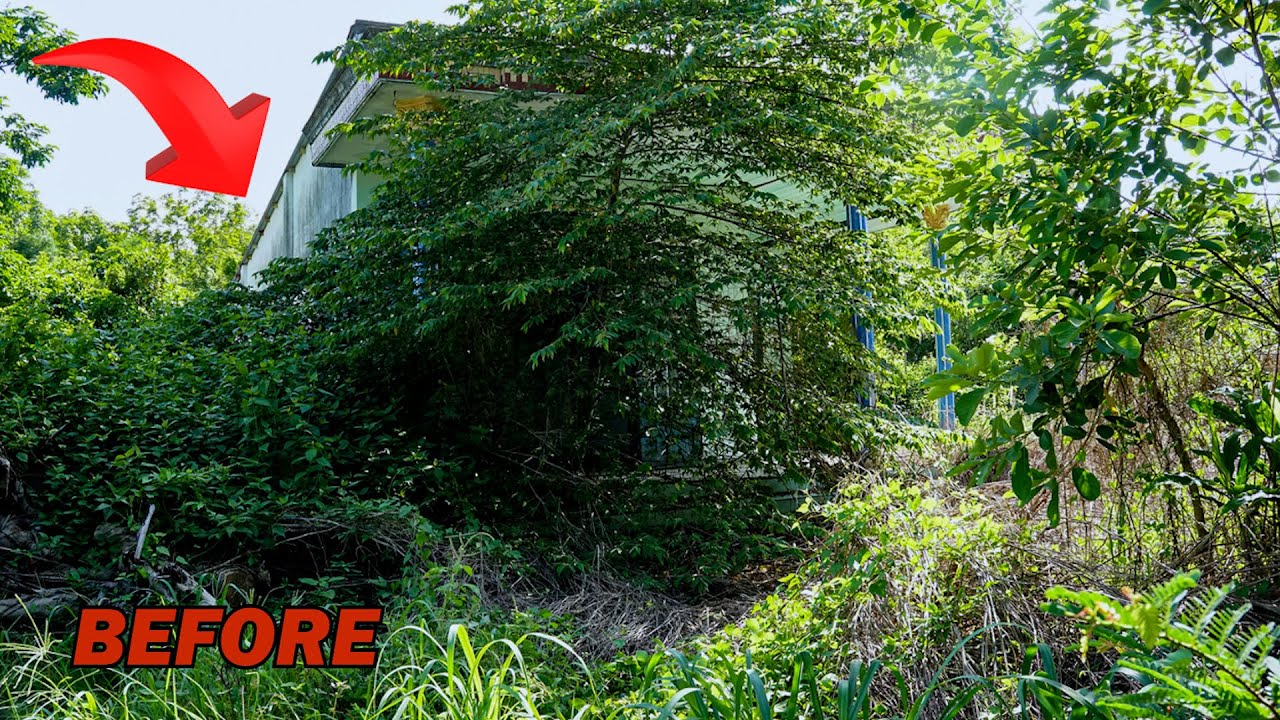 Clean Abandoned House Full transformation cut overgrown grass Clean up ...