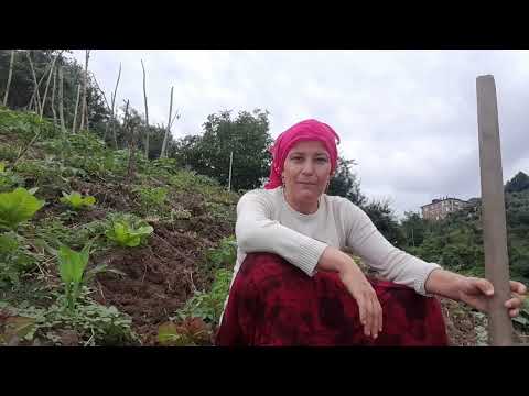 Bahçeleri otlar şenlendirdi💯👩‍🌾 Kollarıma kuvvet işler bekler#aboneol