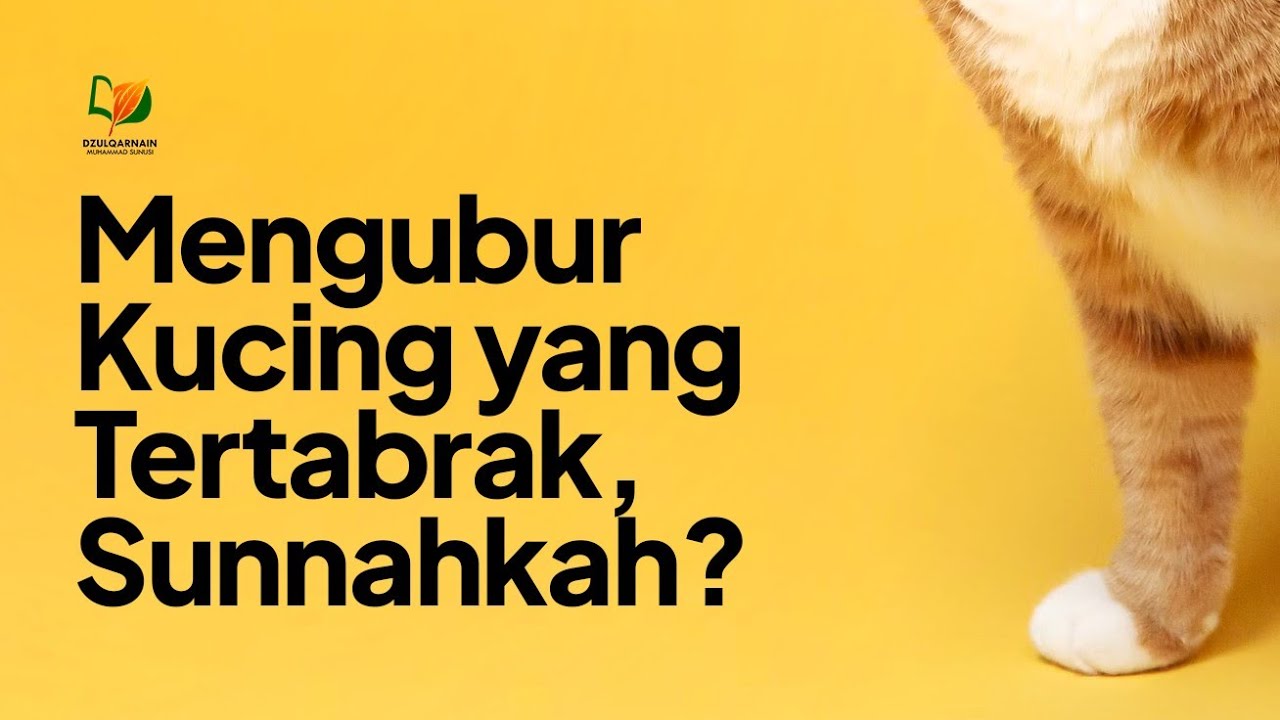 Mengubur Bangkai Kucing yang Tertabrak, Sunnahkah? - YouTube