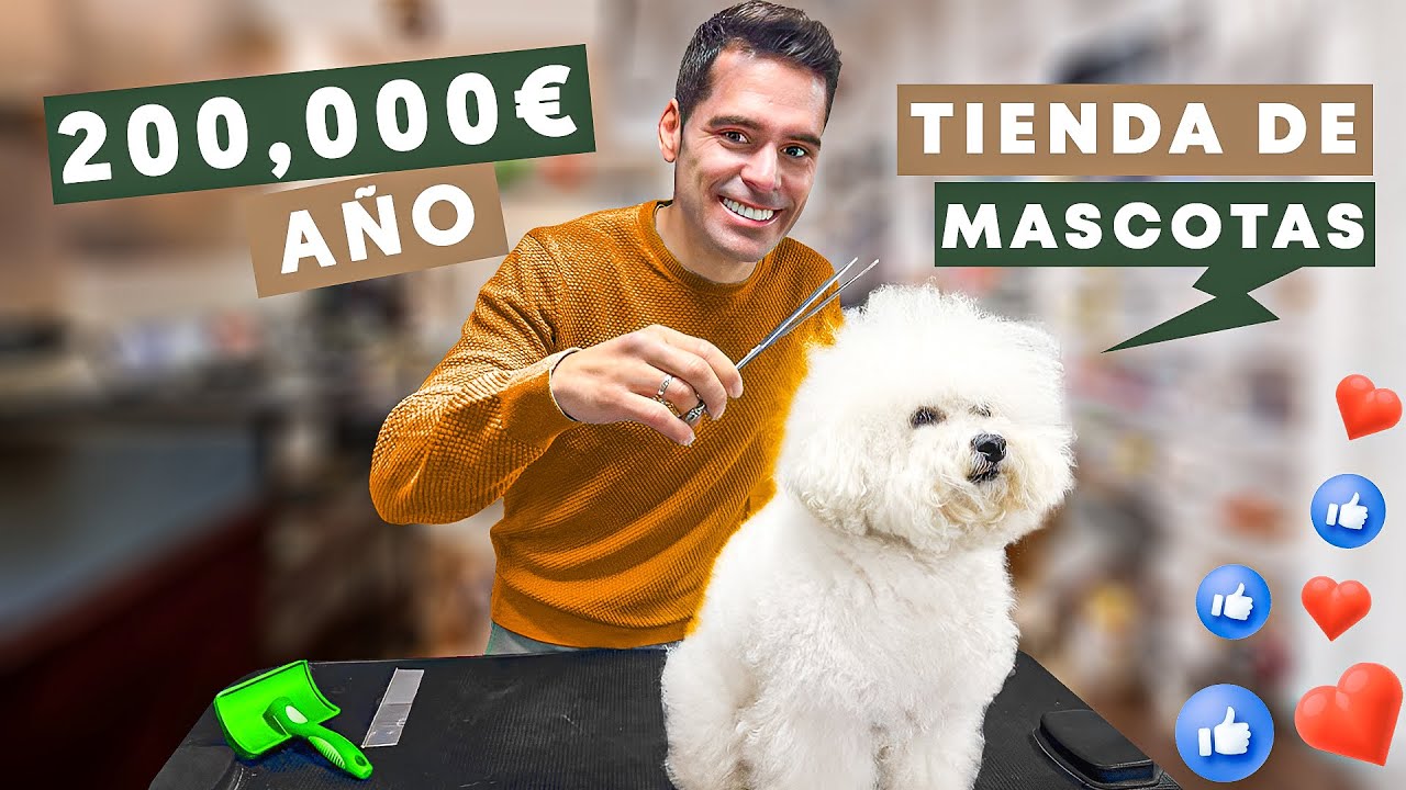 La Realidad de Tener una Tienda de Mascotas en España - YouTube