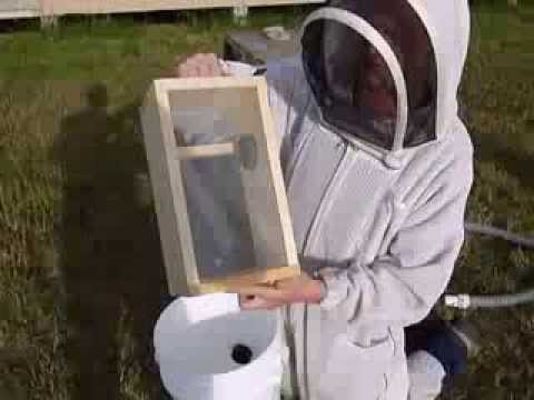 Using a Bee Vacuum - YouTube