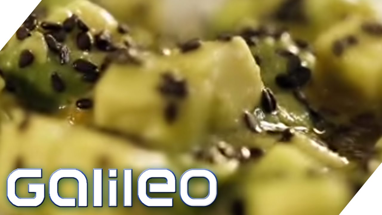 Das etwas andere Sushi: Ceviche | Galileo Lunch Break - YouTube
