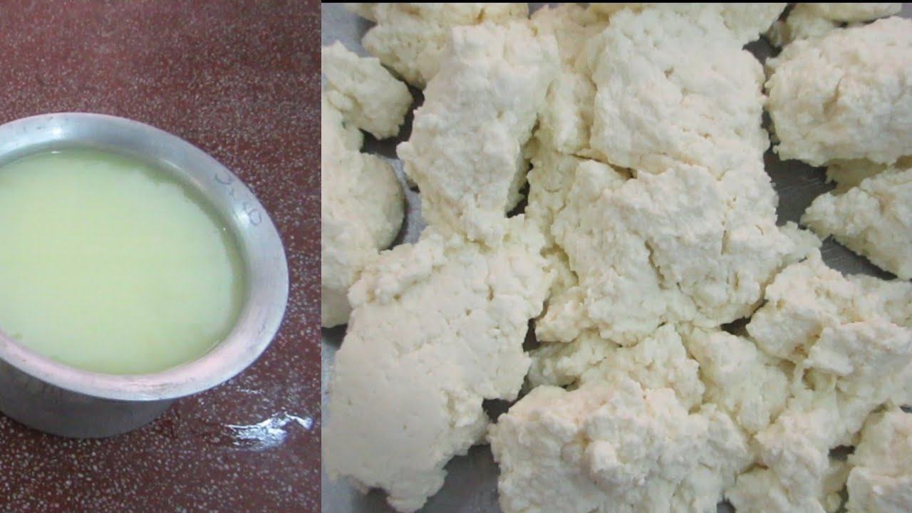 ছানা তৈরি ও সংরক্ষণ || Chhana Making.... - YouTube