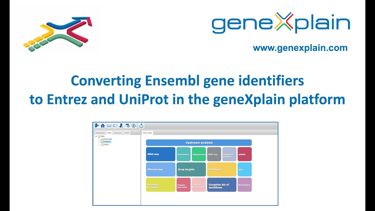 How to convert gene identifiers from Ensembl to others in the geneXplain platform - YouTube