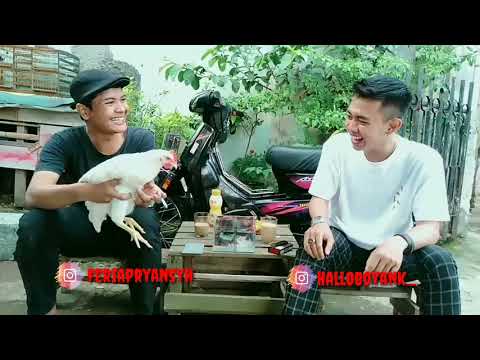 NIATNYA NGE REVIEW HEWAN MALAH LIHAT CUPANG DI LEHER FEY!!!!! AHIWW...!!!!!