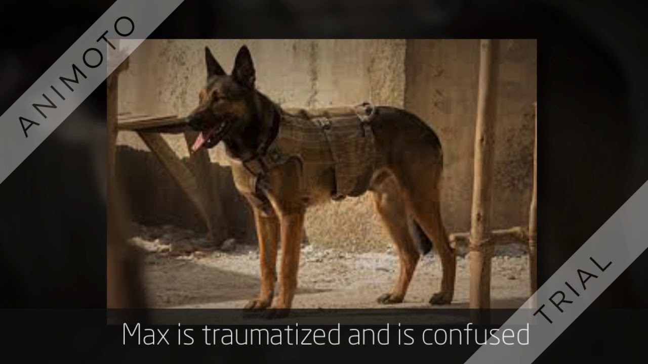 Max Book Trailer - YouTube