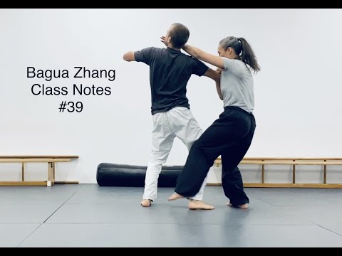 Bagua Zhang - Class Notes #39 / 21. October 2022