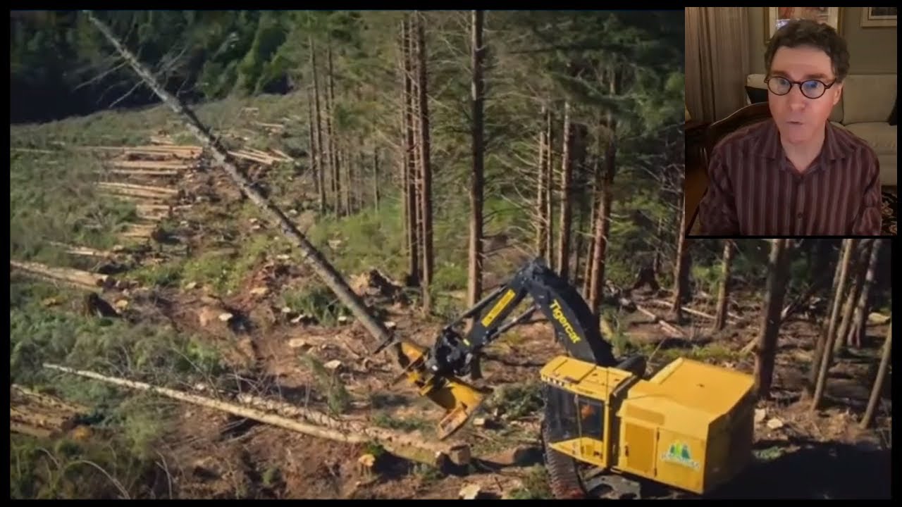 "The Issue with Tissue" documentary, SFV Climate Reality Project Aug 8 ...