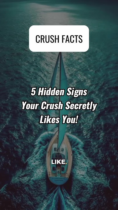 5 Hidden Signs Your Crush Secretly Likes You! Crush Facts #LoveFacts #Couples #DidYouKnow # ...