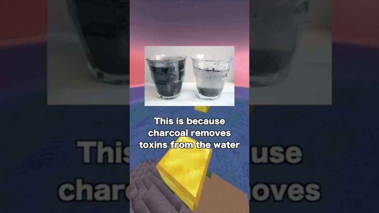 FACTS THAT COULD SAVE YOUR LIFE! 😱 - YouTube