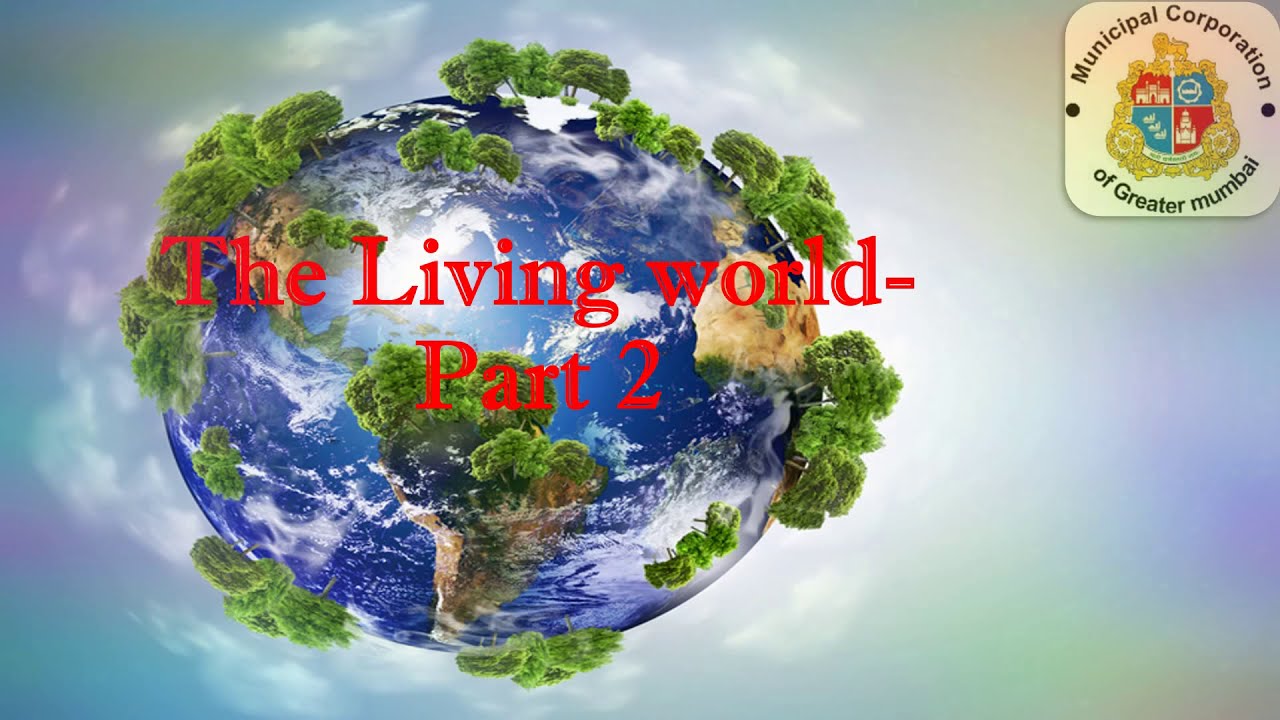 THE LIVING WORLD-PART 2/CHARACTERISTICS OF LIVING THINGS/STD 6TH ...