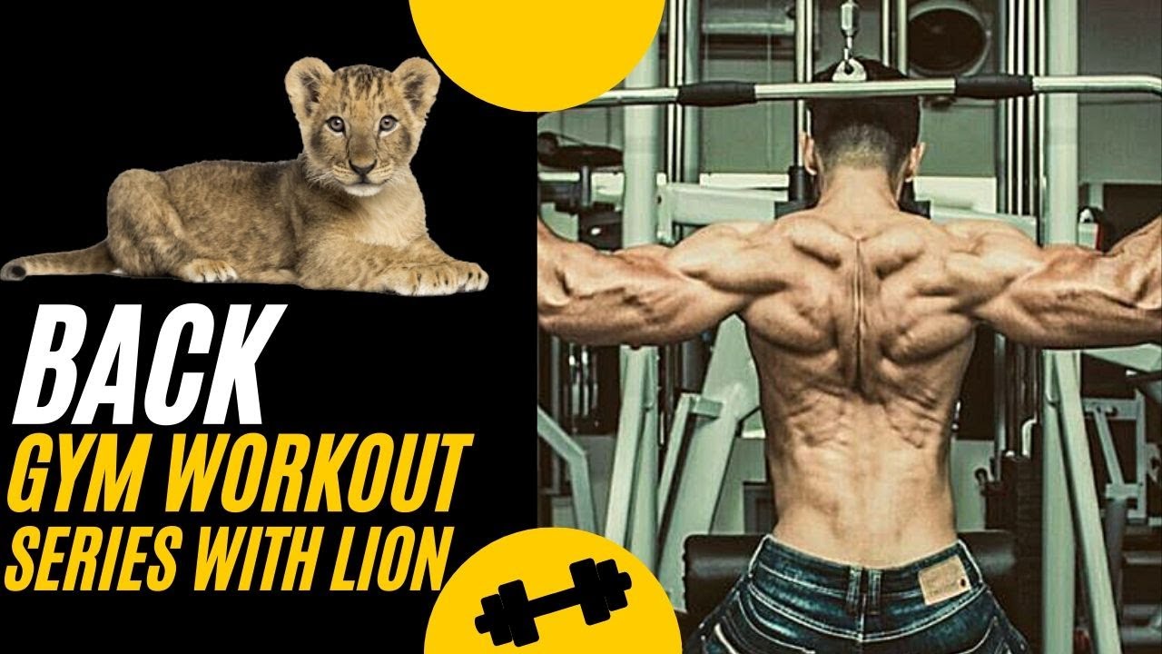 Complete Back Workout with a Lion - Sets and Reps Included ! - YouTube