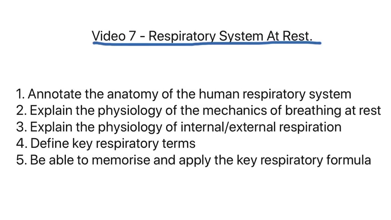 OCR A Level PE - Respiratory System At Rest - YouTube