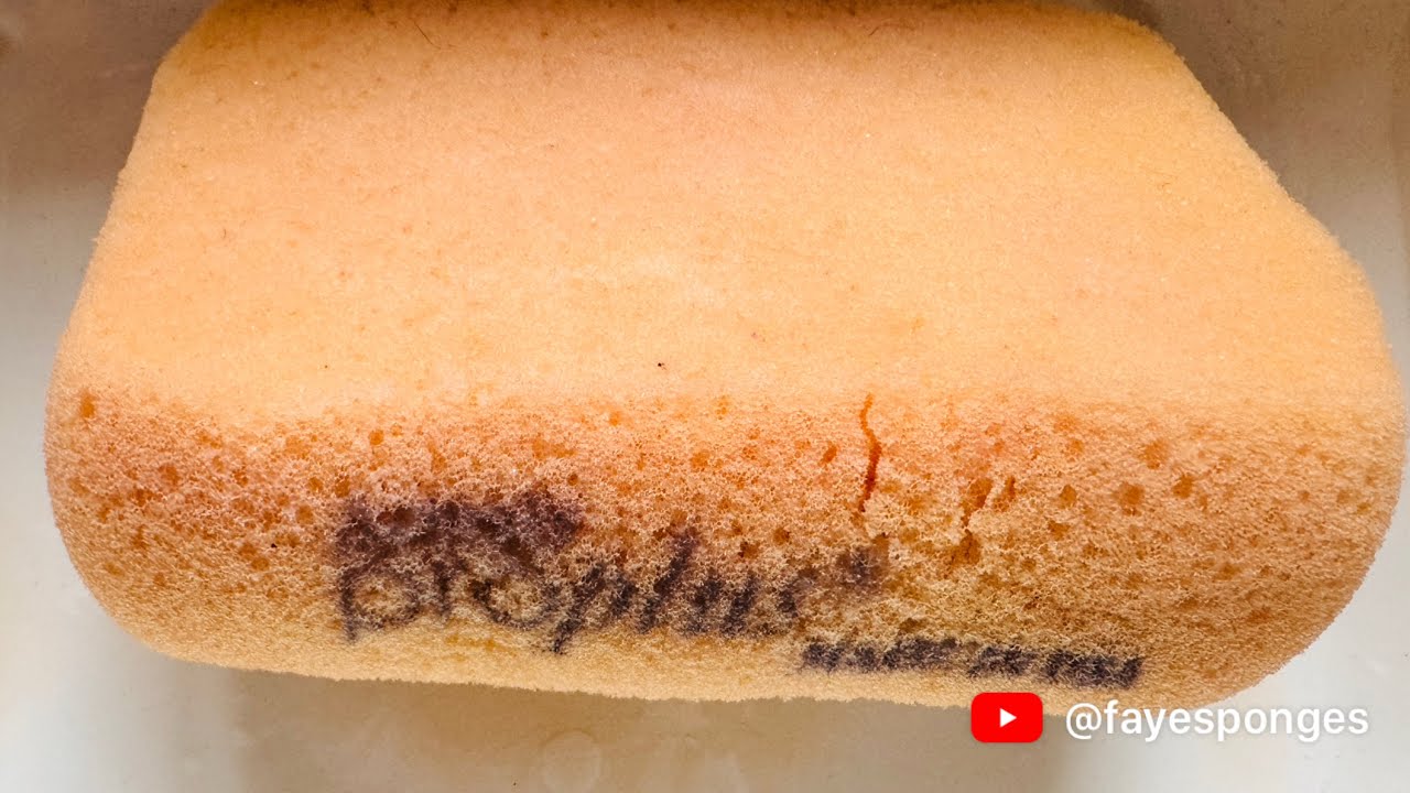 ASMR Proplus grout sponge Dettol soapy jelly squeeze and rip. Ripping ...