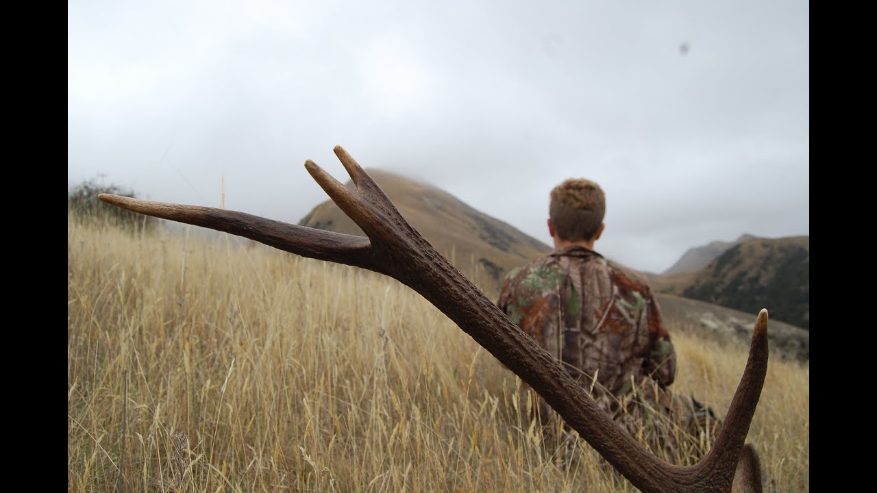 2015 Roar Teaser NZ - YouTube