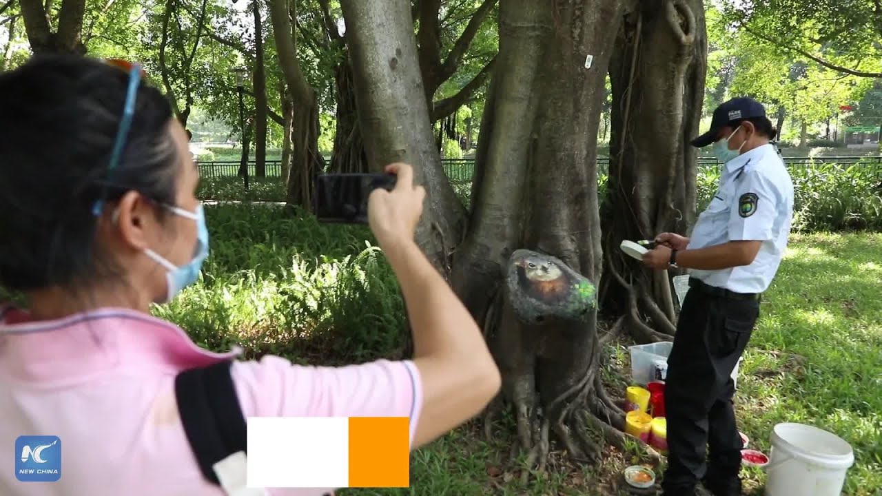 Security guard's paintings decorate park in Shenzhen, south China - YouTube