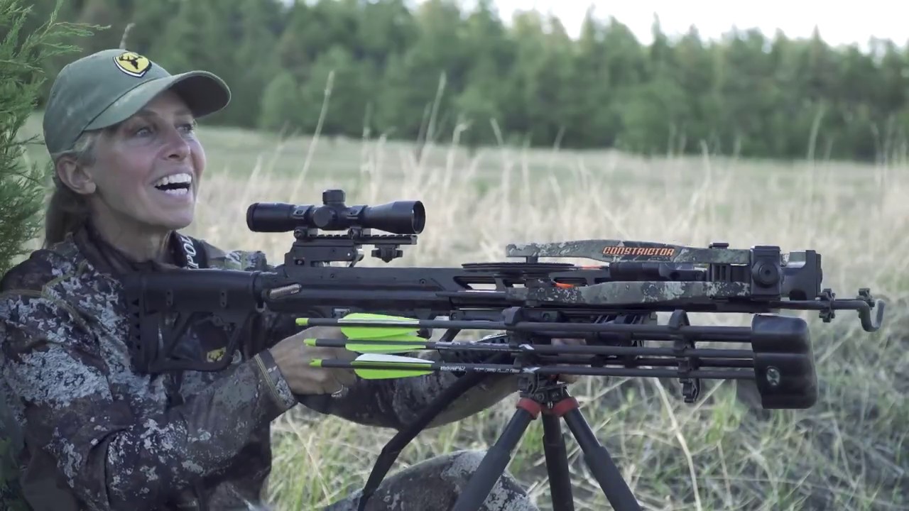 Constrictor Series Lineup | Bear X - YouTube