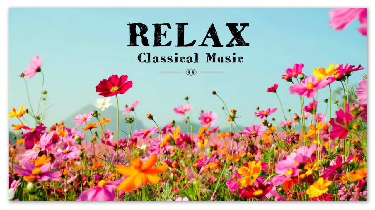 Relax | Classical Music | Chopin Beethoven Satie Mozart Liszt - YouTube