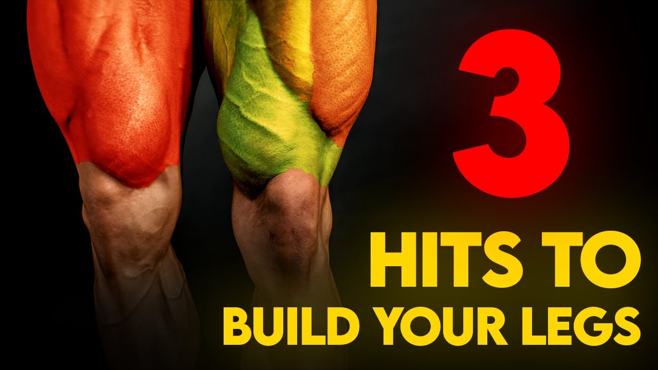 3 LEG WORKOUTS for STRONG LEGS in 2024 (QUICK & EFFECTIVE) - YouTube