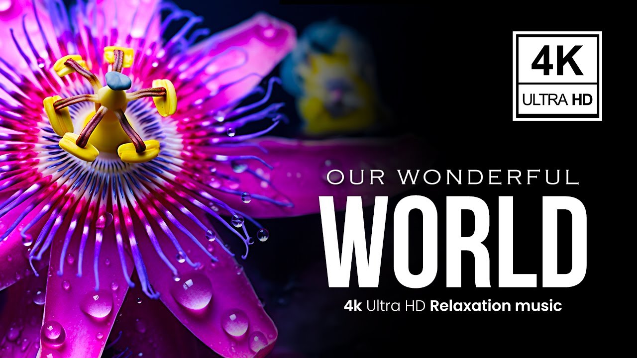 OUR WONDERFUL WORLD/4k ULTRA HD RELAXING VIDEO - YouTube