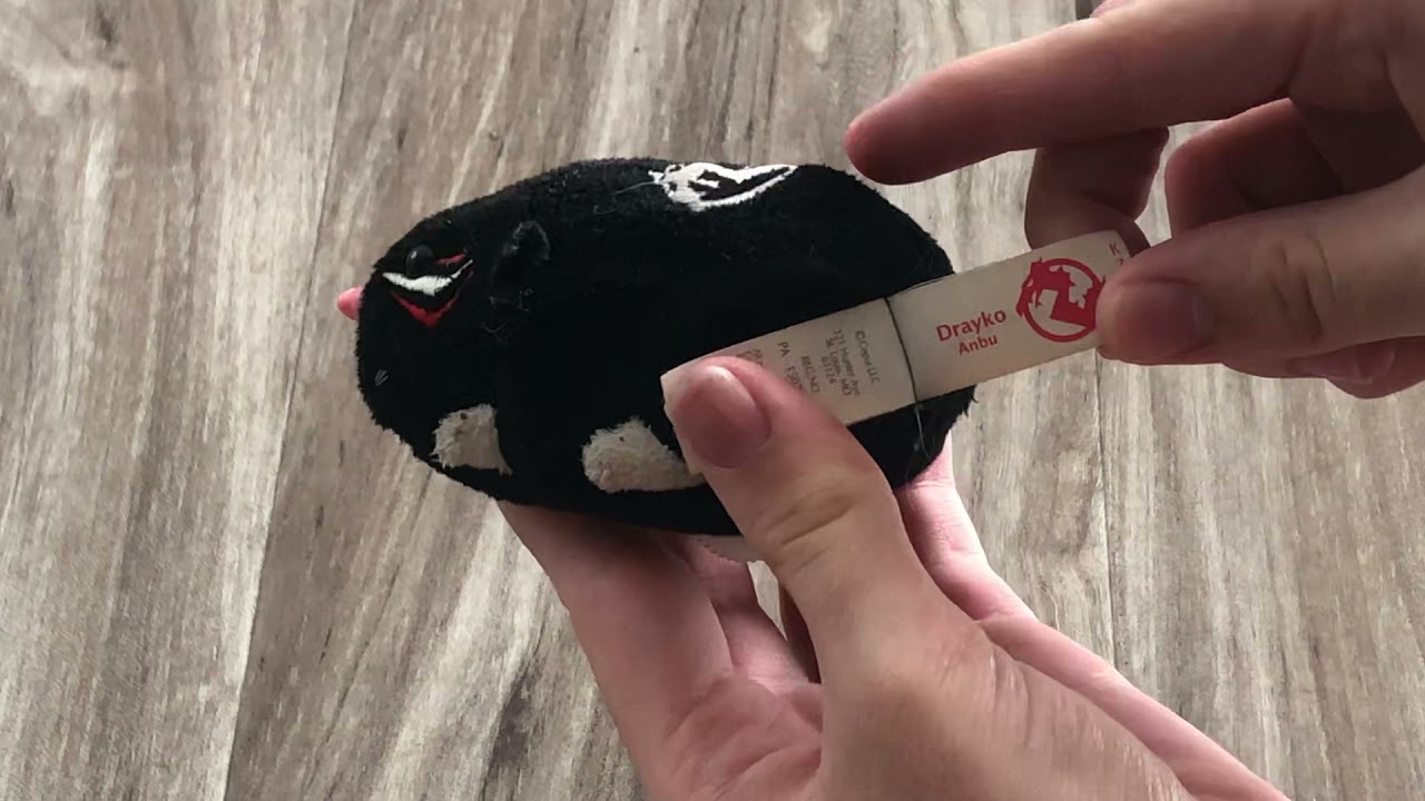 Full Kung Zhu Review - Rare (Pink-Nosed) Drayko - YouTube