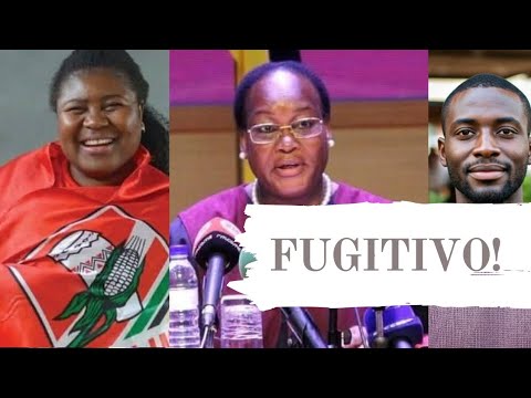 ÚLTIMA HORA: Filho da Lúcia Ribeiro do CC fugiu, Marido da filha de ...
