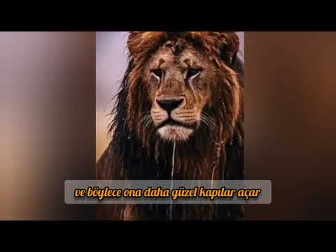 Allah seni sevir.Çetinliklere sebr et ve güven.Sebrin sona catdigi yerde Allahin komeyi baslayir❤️